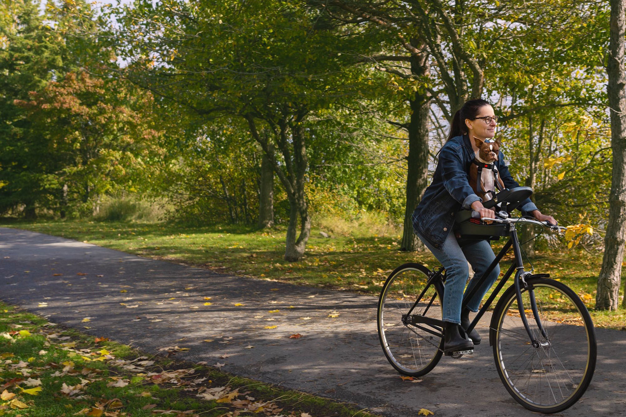 Buddyrider® | Ne laissez jamais votre copain derrière vous - les porte ...